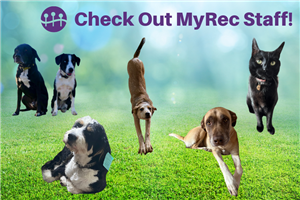 MyRec Department: Online Registration by MyRec.com Recreation ...
